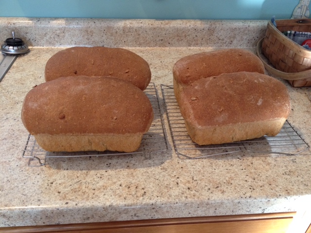 Recipes – Penner Farms